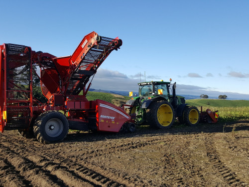 Sugar and Fodder Beet | CMC Contracting