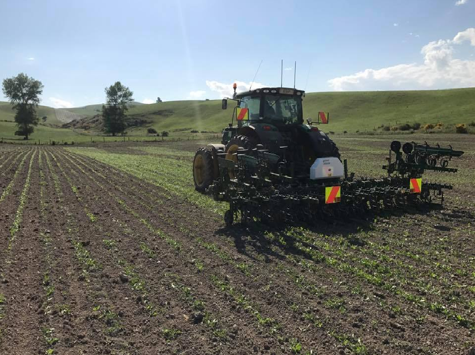 Interrow Weeder | CMC Contracting